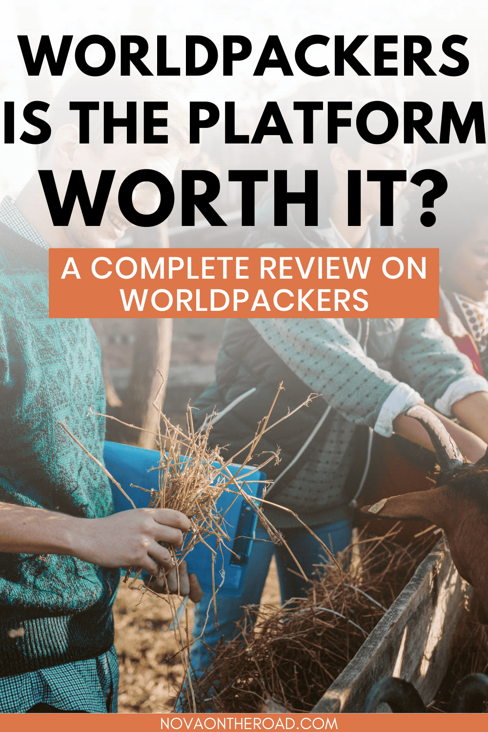 Is Worldpackers Worth It? An Honest Review and Everything You Should ...